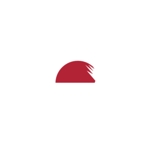 Step One Automotive Group